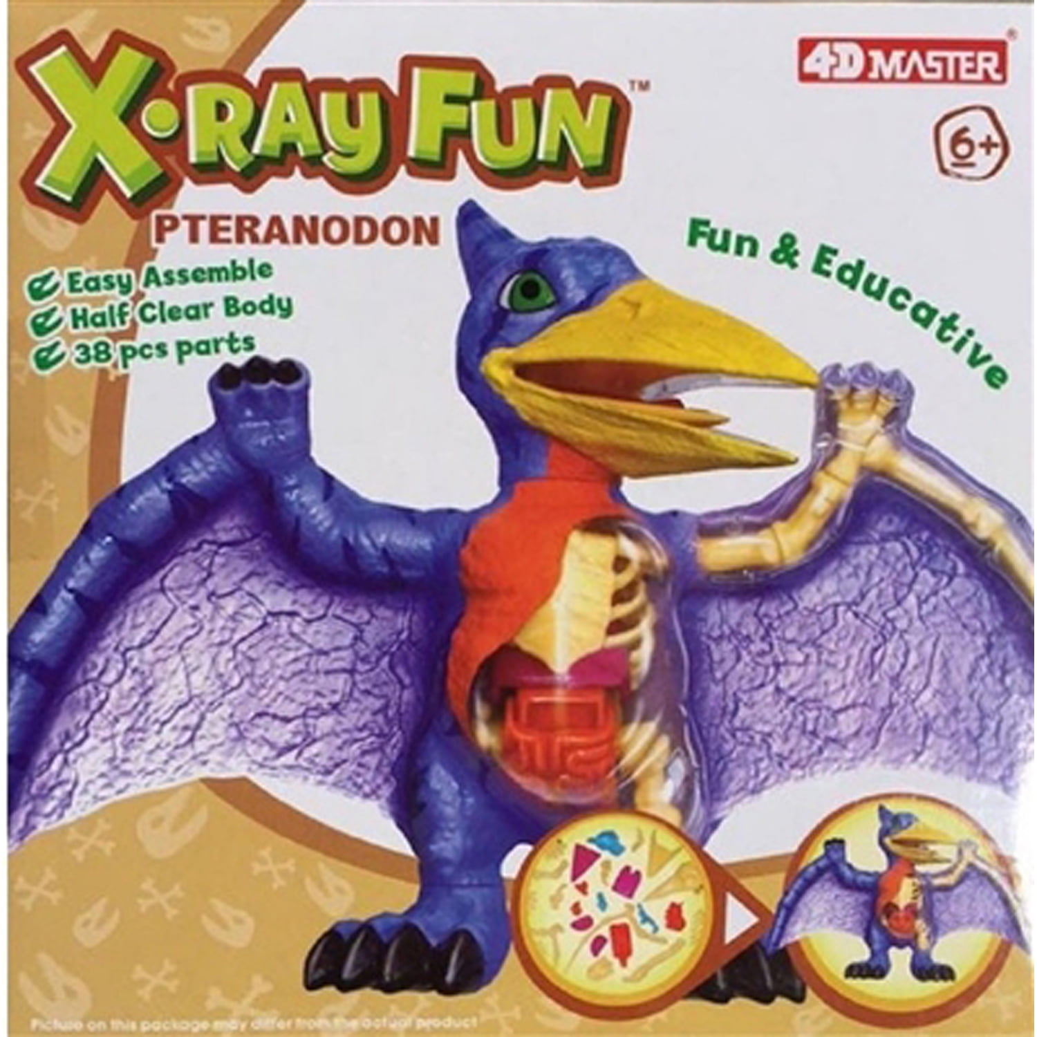 4D Master: x-Ray Fun Pteranodon, Fun & Educative - Walmart.com