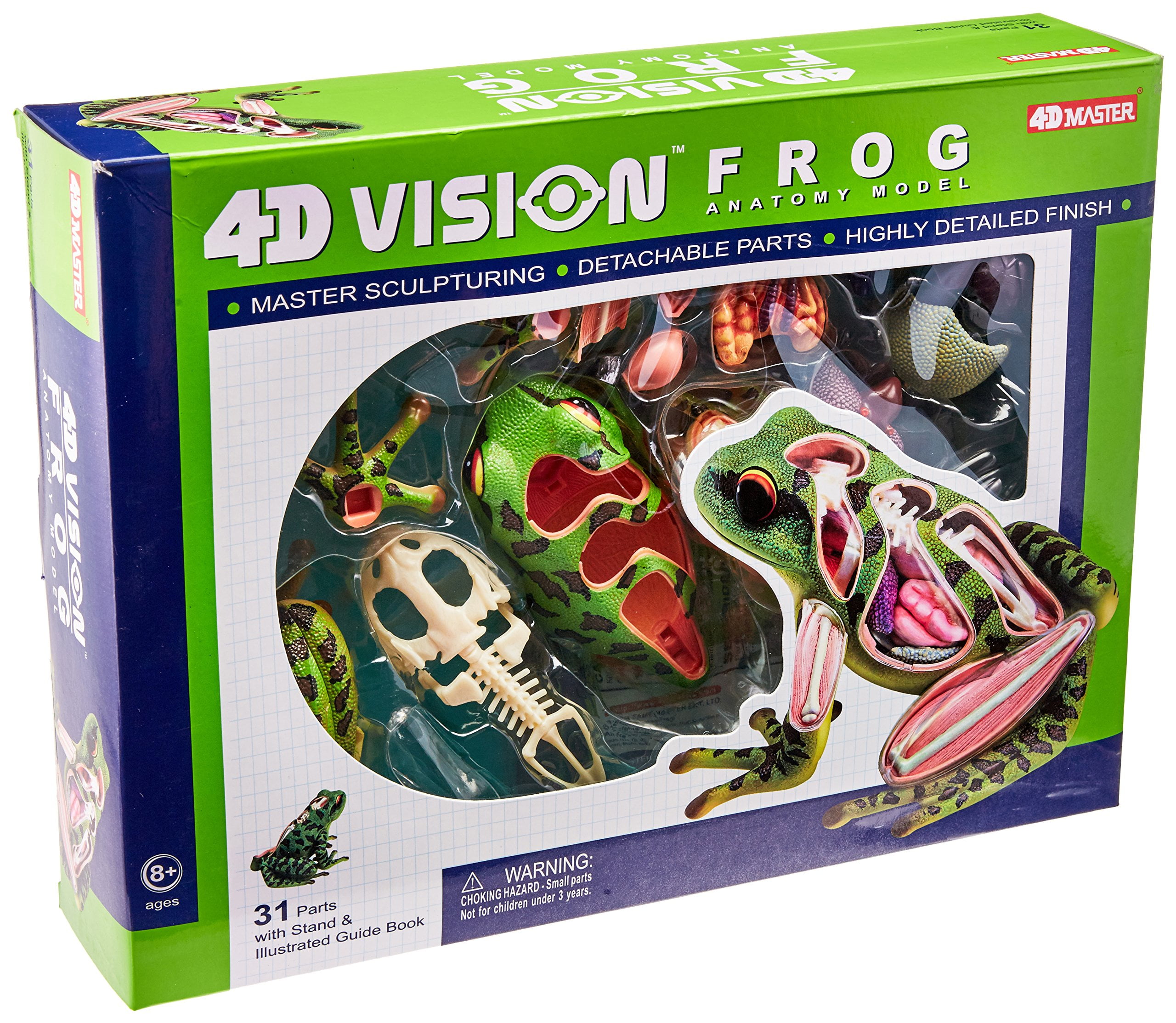 4D Vision Frog Anatomy Model - Walmart.com