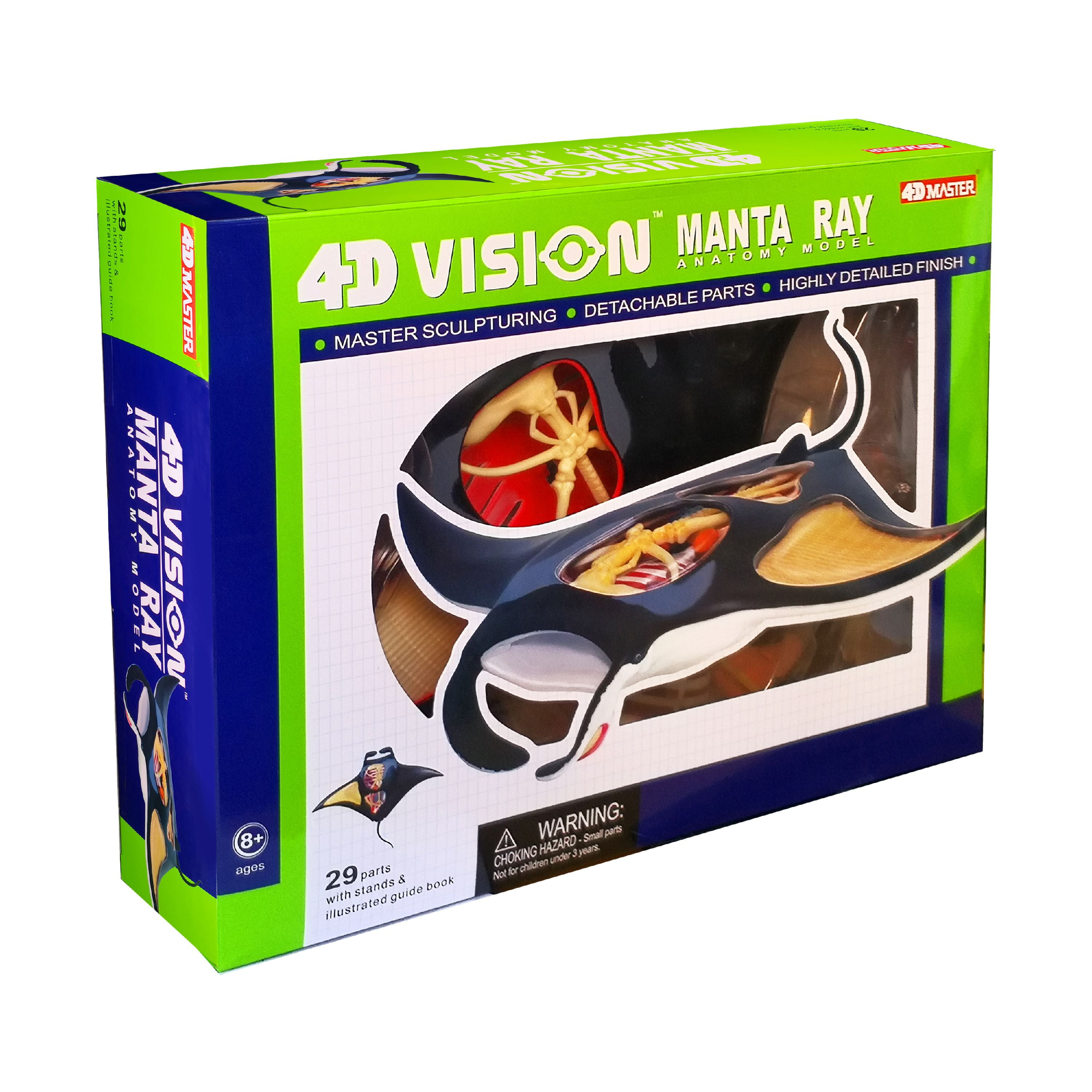 4D Vision Manta Ray Anatomy Model - Walmart.com