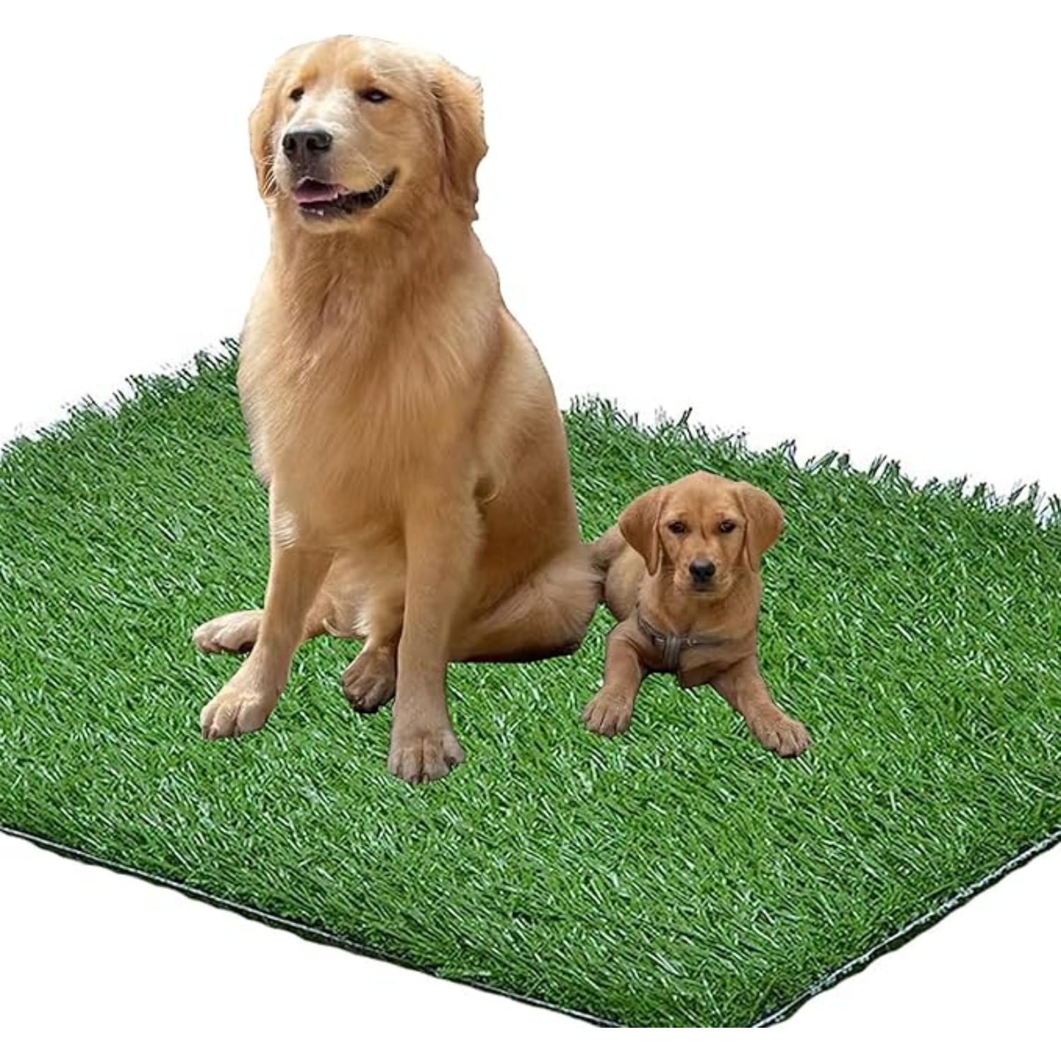 4FT x 6FT Artificial Turf Dog Training Grass No Tray Synthetic Fake ...