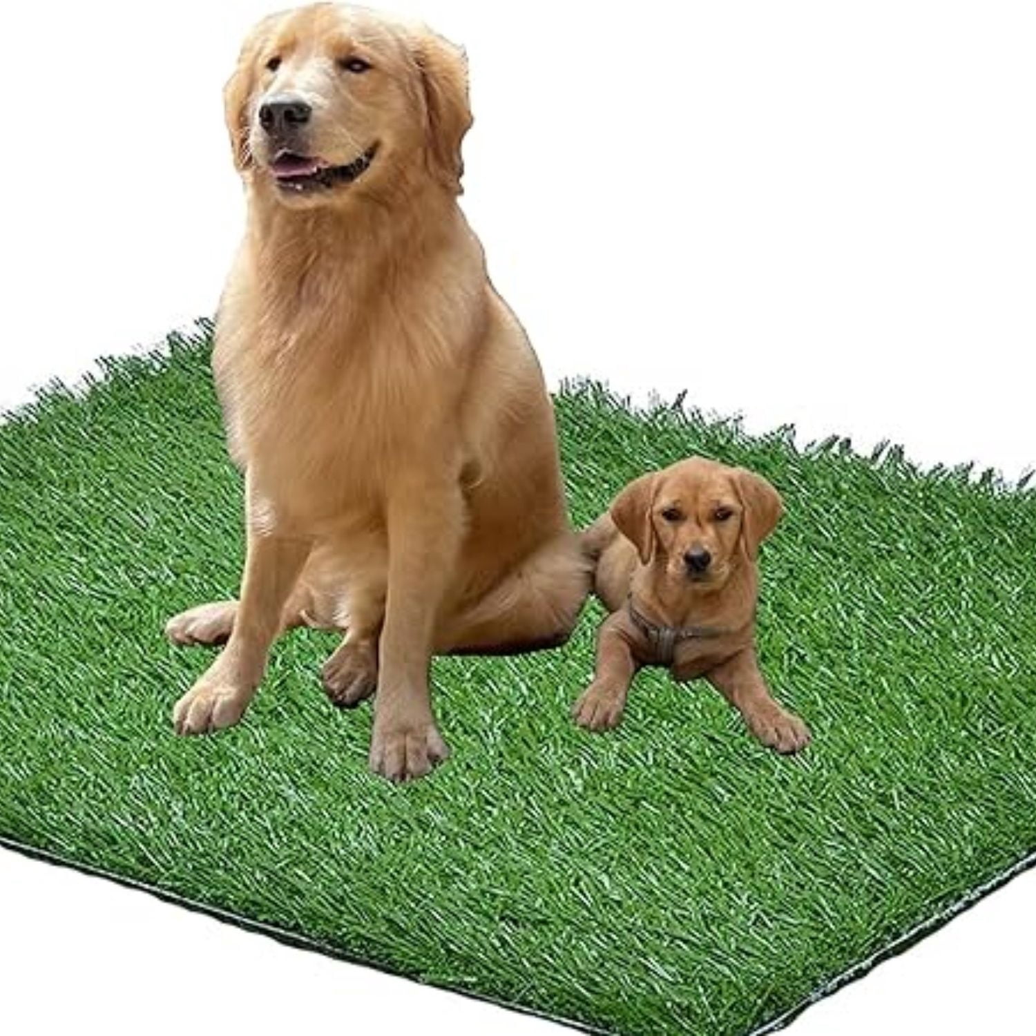 4FT x 6FT Artificial Turf Dog Training Grass No Tray Synthetic Fake ...