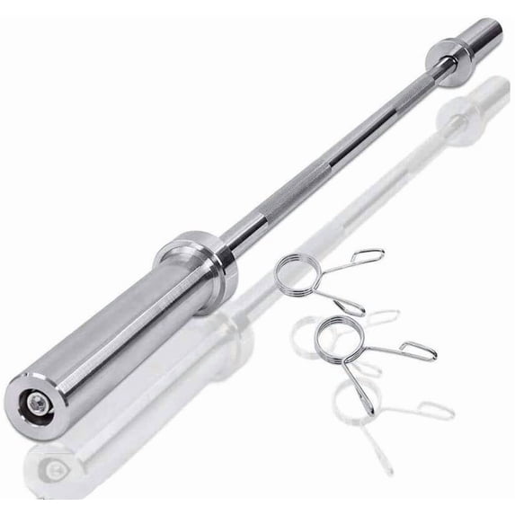 4Ft Olympic Barbell Bar for 2 Plates, Solid Weightlifting Bar for Home ...