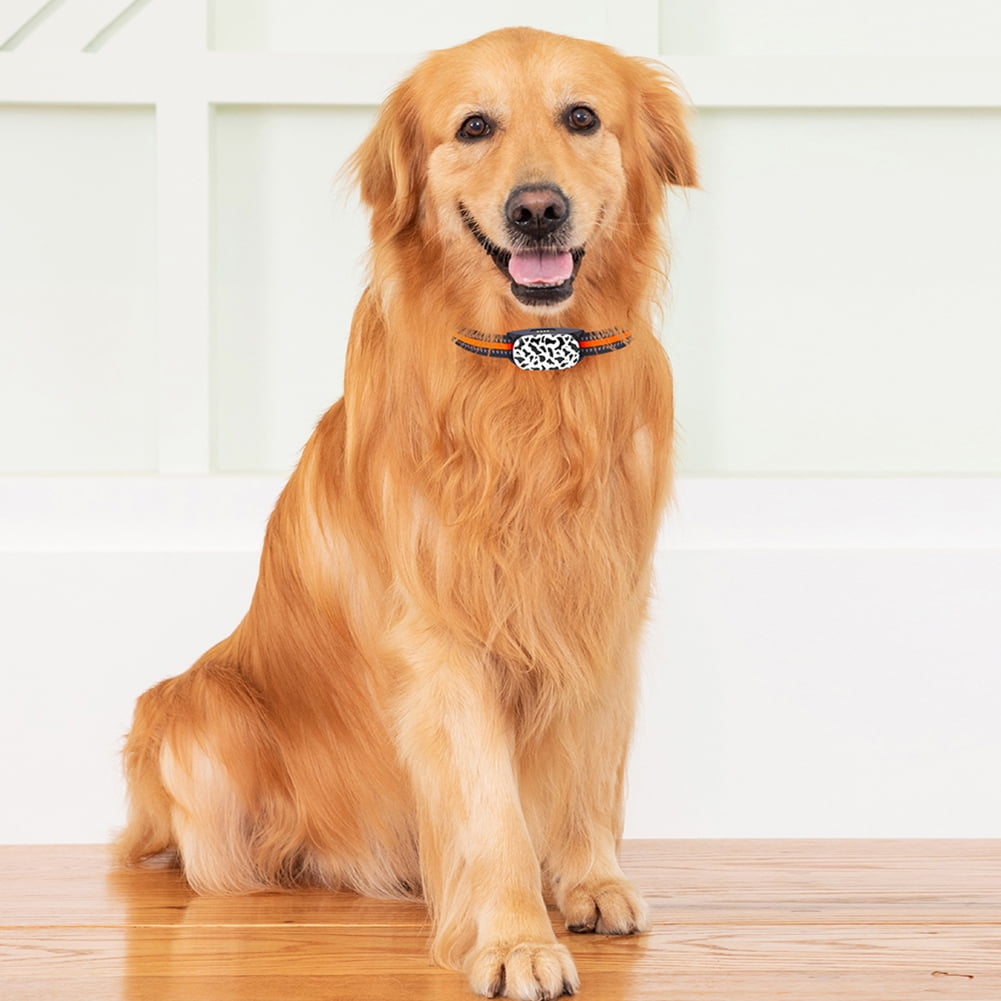 4G Tracking Pet Collar Locator Anti-Lost Pet Tracker Smart Collar ...