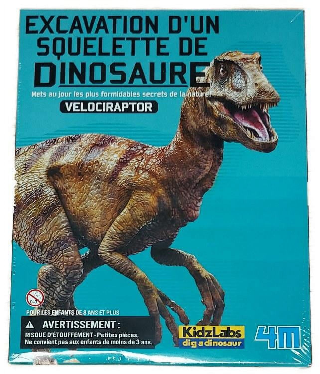 4M : Dig and play velociraptor Dinosaur - Walmart.com