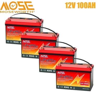 Redodo 12V 300Ah Deep Cycle LiFePO4 Battery with 200A BMS for off-Grid ...