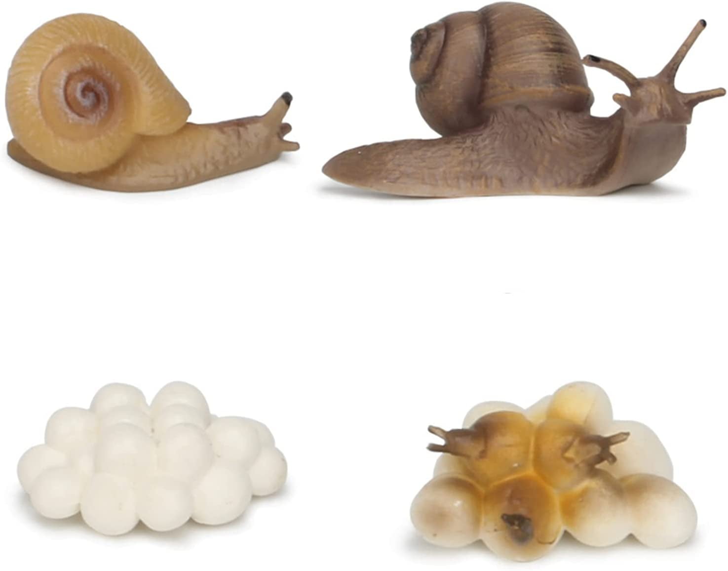 4PC Insect Figurines Life Cycle of Rooster, Ant, Bee, Butterfly ...