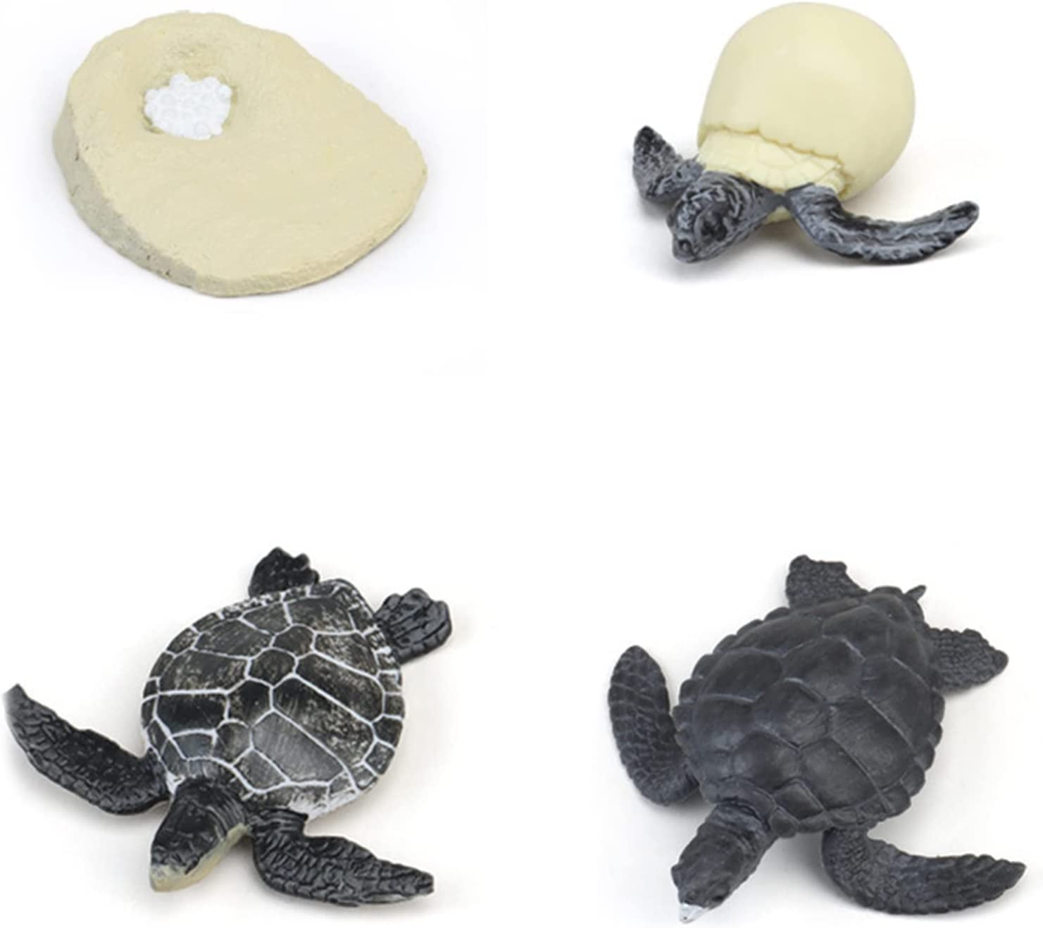 4PC Insect Figurines Life Cycle of Rooster, Ant, Bee, Butterfly ...