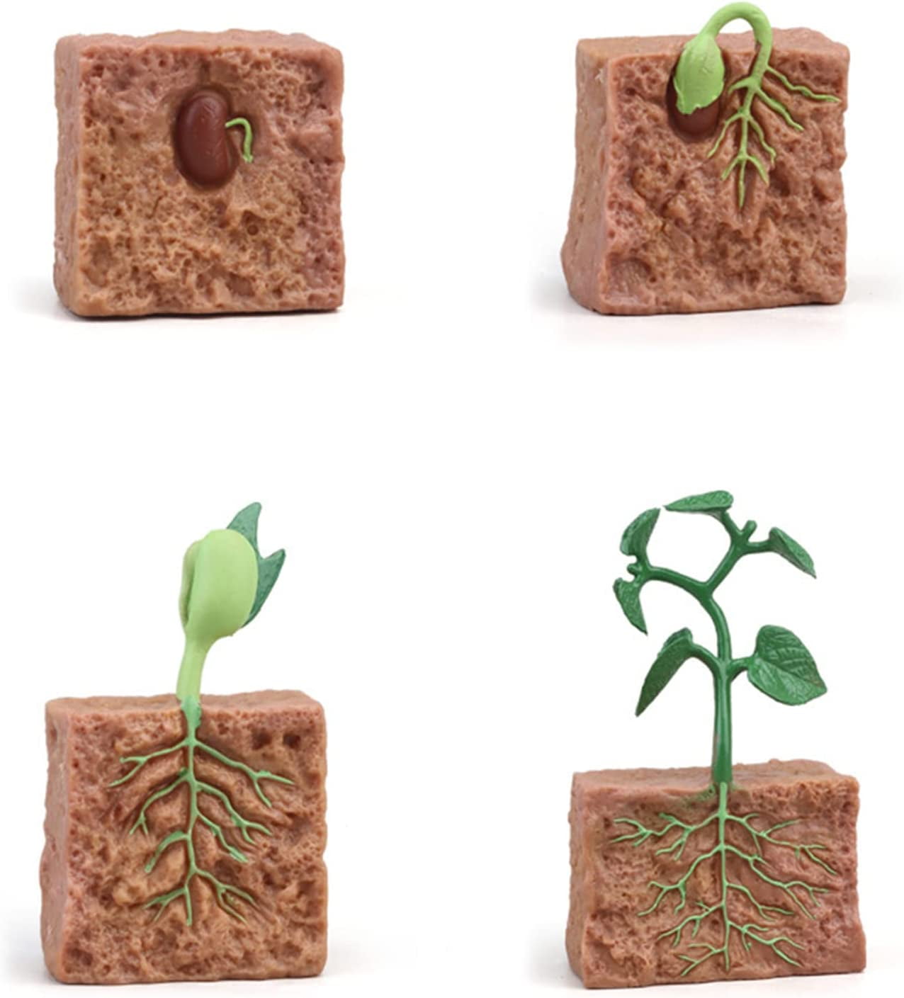 4PC Insect Figurines Life Cycle of Rooster, Ant, Bee, Butterfly ...