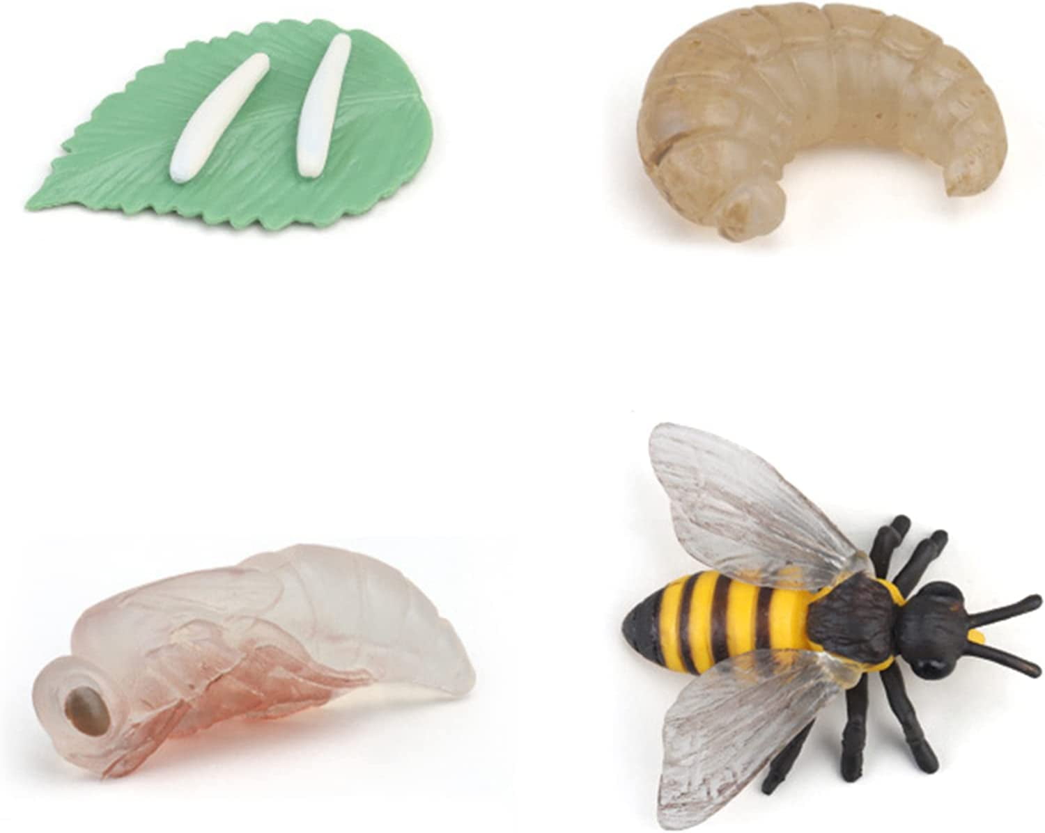 4PC Insect Figurines Life Cycle of Rooster, Ant, Bee, Butterfly ...