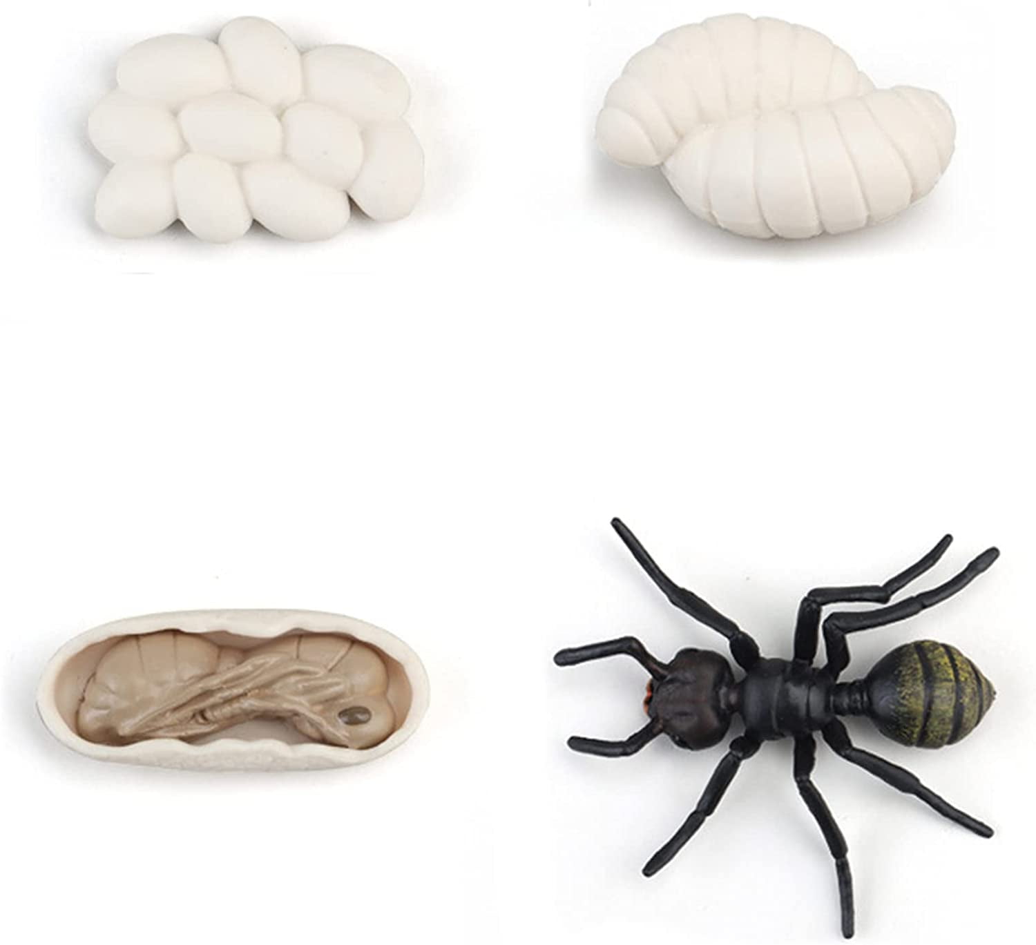4PC Insect Figurines Life Cycle of Rooster, Ant, Bee, Butterfly ...