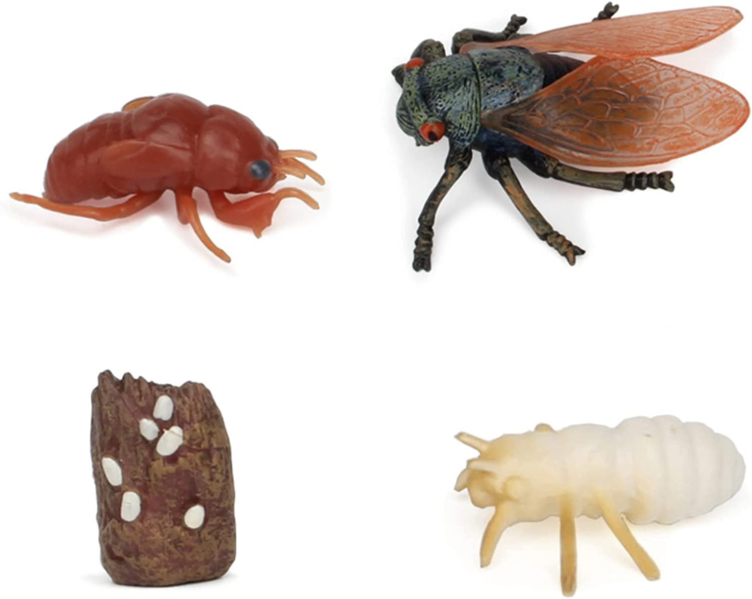 4PC Insect Figurines Life Cycle of Rooster, Ant, Bee, Butterfly ...