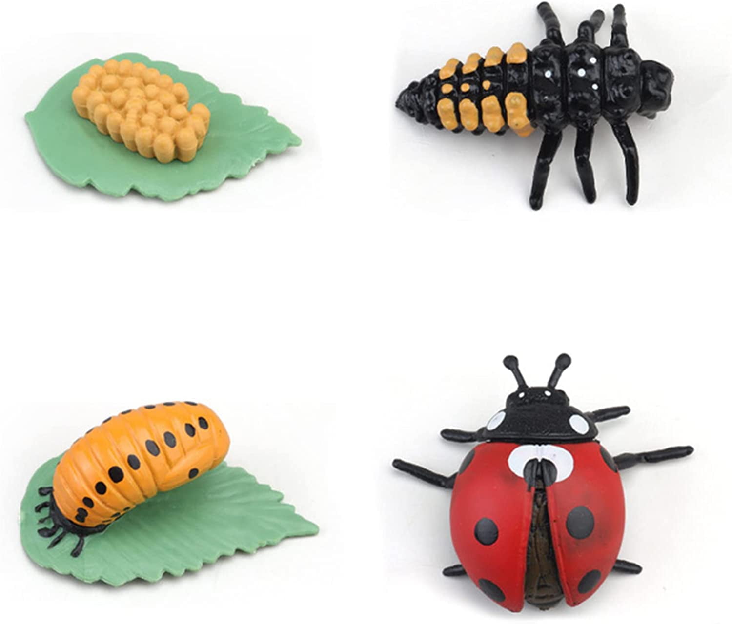 4PC Insect Figurines Life Cycle of Rooster, Ant, Bee, Butterfly ...