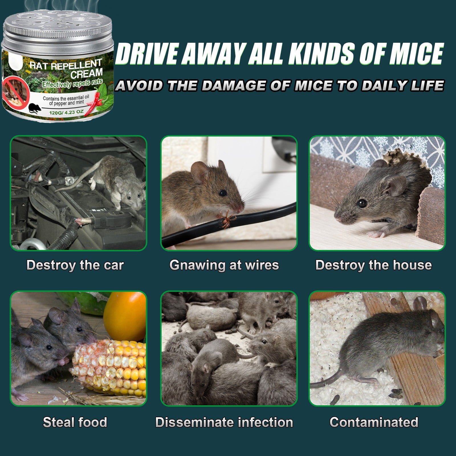 4PC Peppermint Oil To Repel Mice And Rats, Rodent Repellent Mouse ...