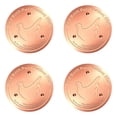 4PCS Bird Bath Copper Disk, 0.6mm Reinforced 99.99% Pure Copper ...