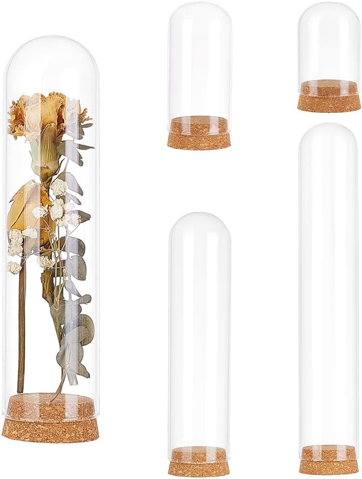 4PCS Glass Cloche Display Dome 4 Style Cloche Bell Jar with Cork Base ...