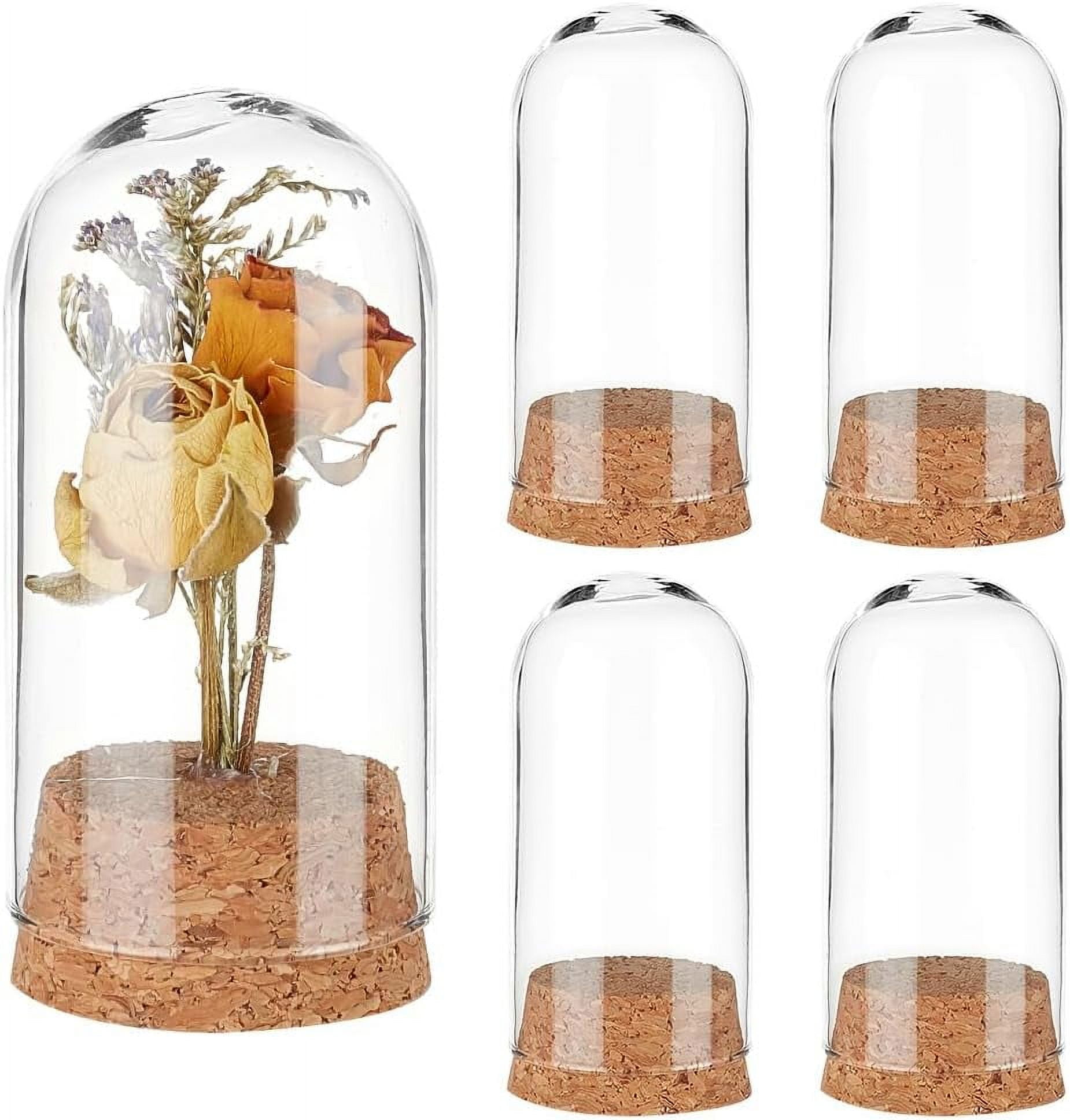 4PCS Glass Display Dome Cloche Glass Bell Jar with Cork Base Mini Glass ...