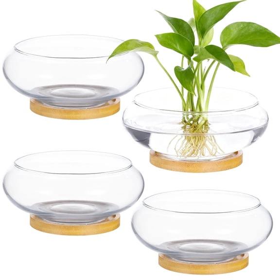 Elegant Fish Bowls and Glass Vases for Home Decor and Aquatic Plants