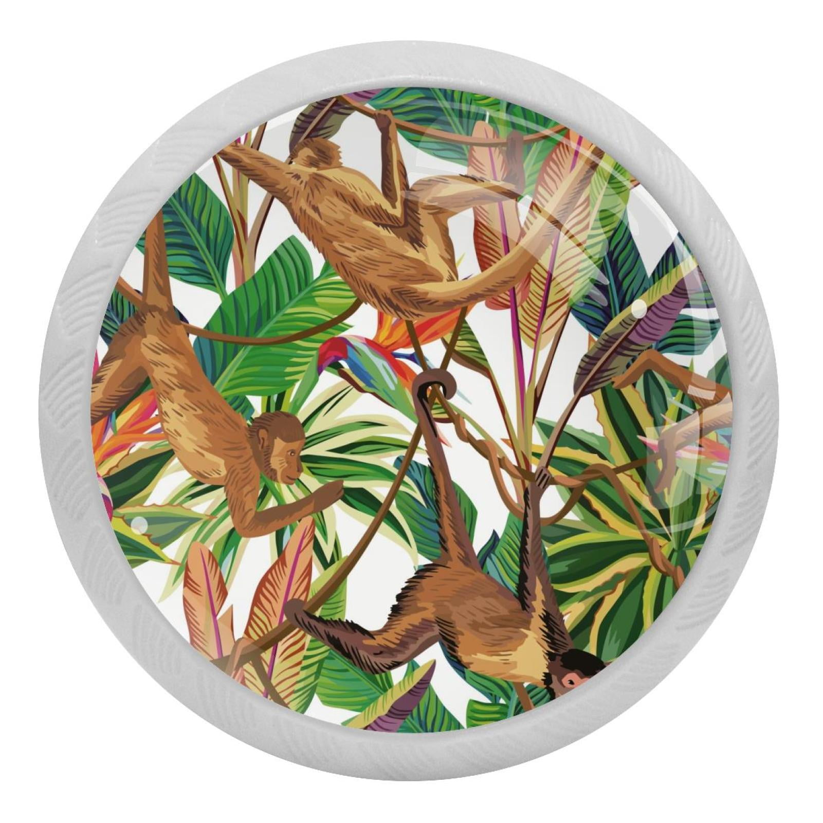 4PCS Round Tropical jungle Monkey Cabinet Fluorescence Knob Glowing in ...