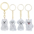 4Pcs 4 Styles Iron & Silicone Hair Storage Capsule Pendants Keychains ...