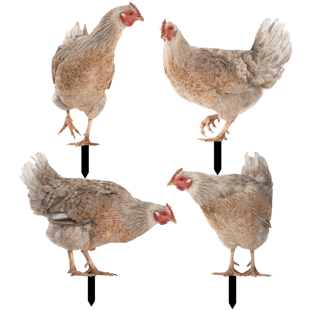 4Pcs Chicken Stake Art Hen Yard Decoration - Walmart Business Supplies
