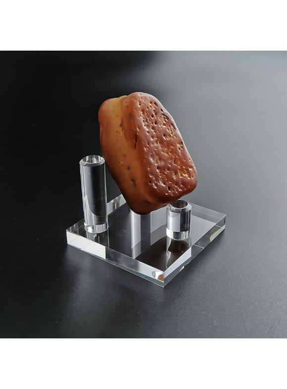 Fossil Display Stand