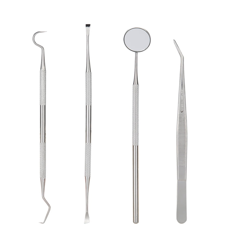 4Pcs Dentist Cleaning Examination Hygiene Set Dental Tarter Scraper ...