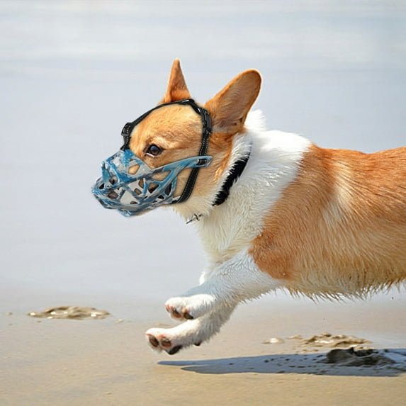 4Pcs Dog Muzzle under $5! Yrmaups Dog Muzzle, Adjustable Dog Muzzle ...