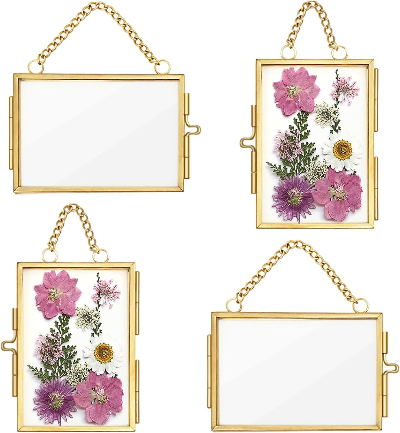 4Pcs Double Glass Frame for Pressed Flowers, 2x3 inch Picture Frame ...