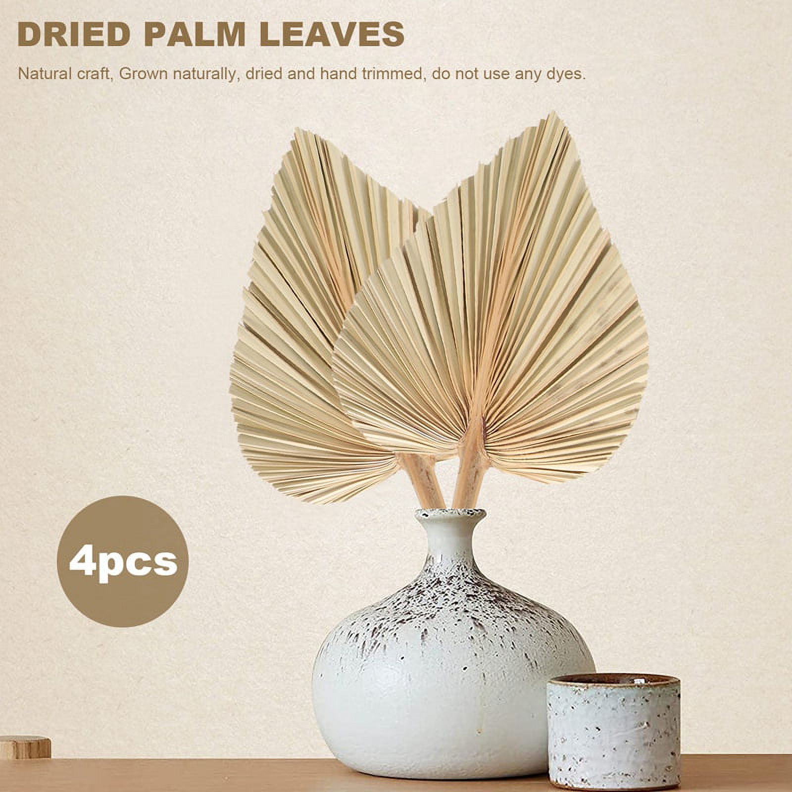 4Pcs Dried Palm Leaves Dried Palm Fans Tropical Palm Leaves - Walmart.com