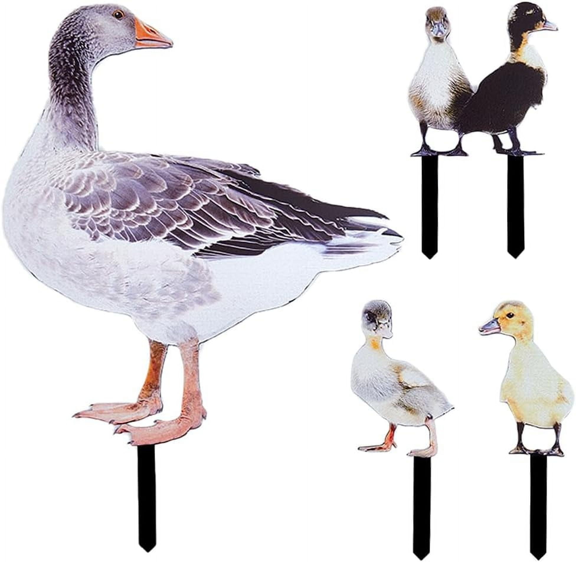 4Pcs Duck Yard Art Ground Insert Decorations Acrylic Garden Stake ...