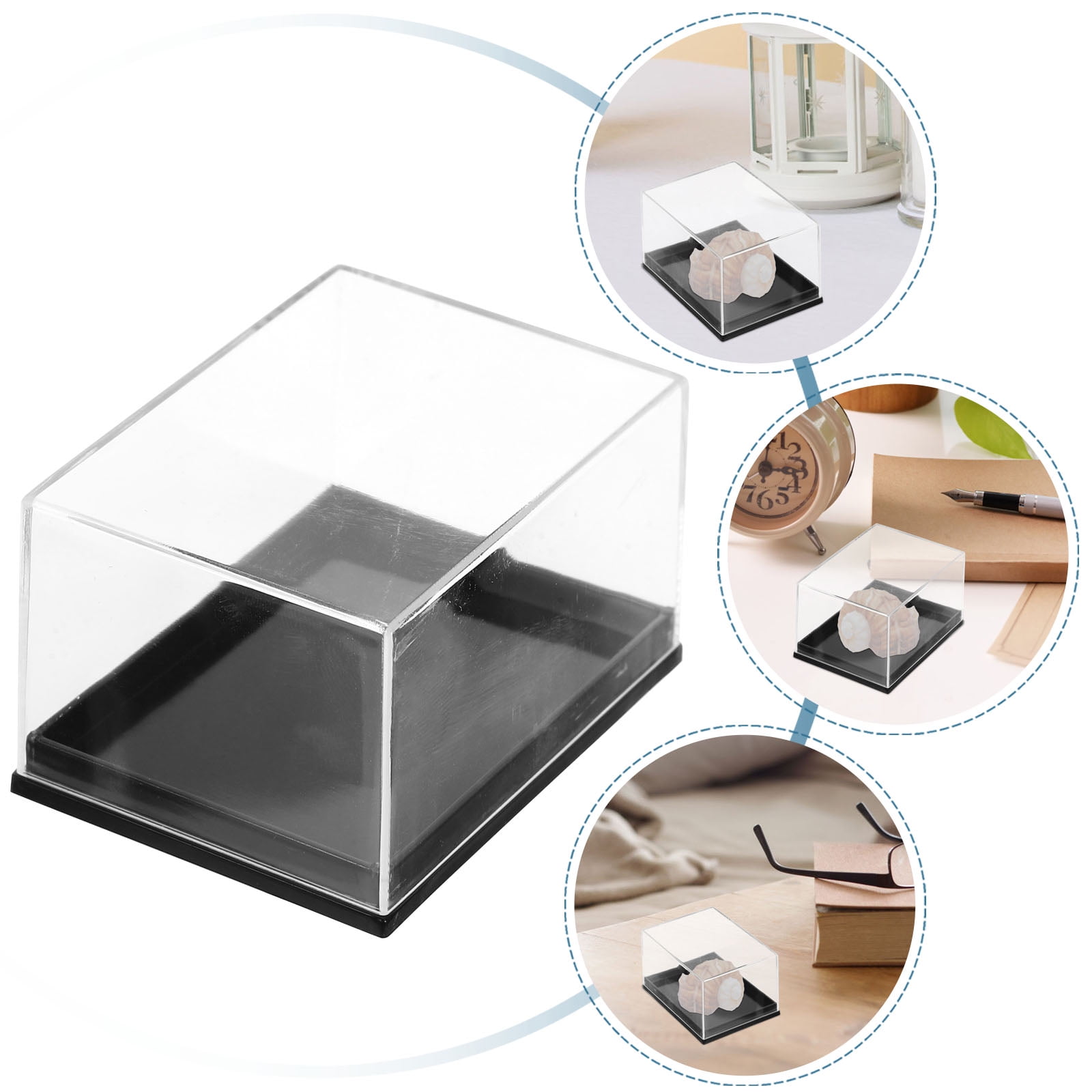4Pcs Mineral Specimen Box Mini Mineral Stones Display Storage Box Mini ...