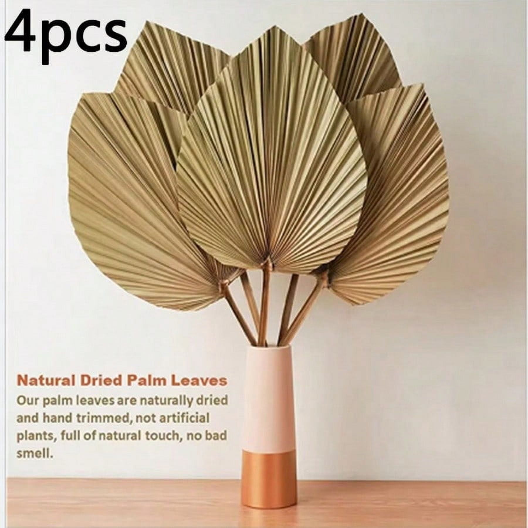 4Pcs Natural Dried Palm Leaves Tropical Fans Boho Dry Leaves Decor Home ...
