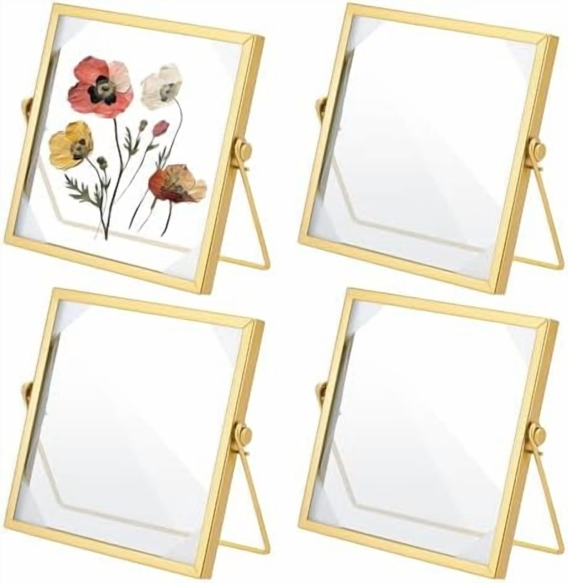 4Pcs Pressed Flower Frame, Double Glass Frame for Pressed Flowers ...