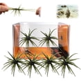 4Pcs Sea Urchin Soft Bait, Realistic Fuzzy Dice Fishing Lure,Floating ...