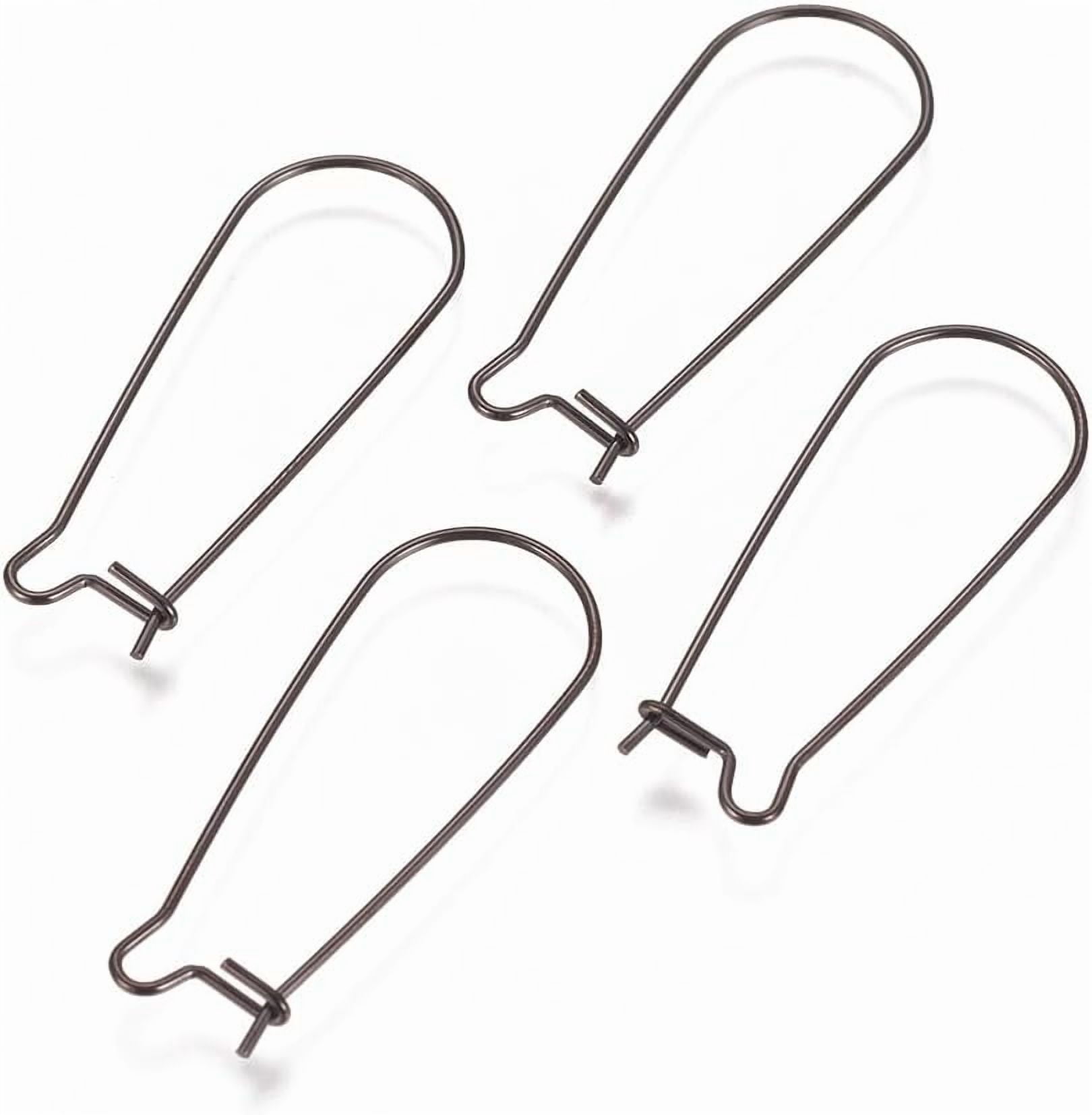 4Pcs Stainless Steel Hoop Earrings Earring Hooks Ear Wire Hooks Black ...