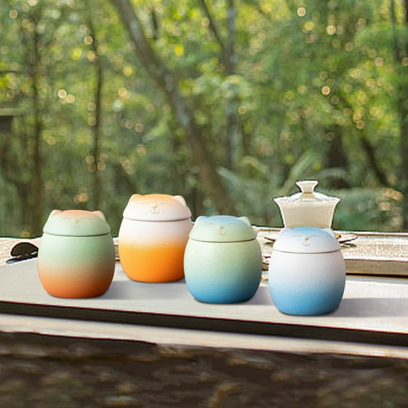 4Pcs Steam-Proof Sealed Tea Storage Jar Under $5! Kadlawus Steam-proof ...
