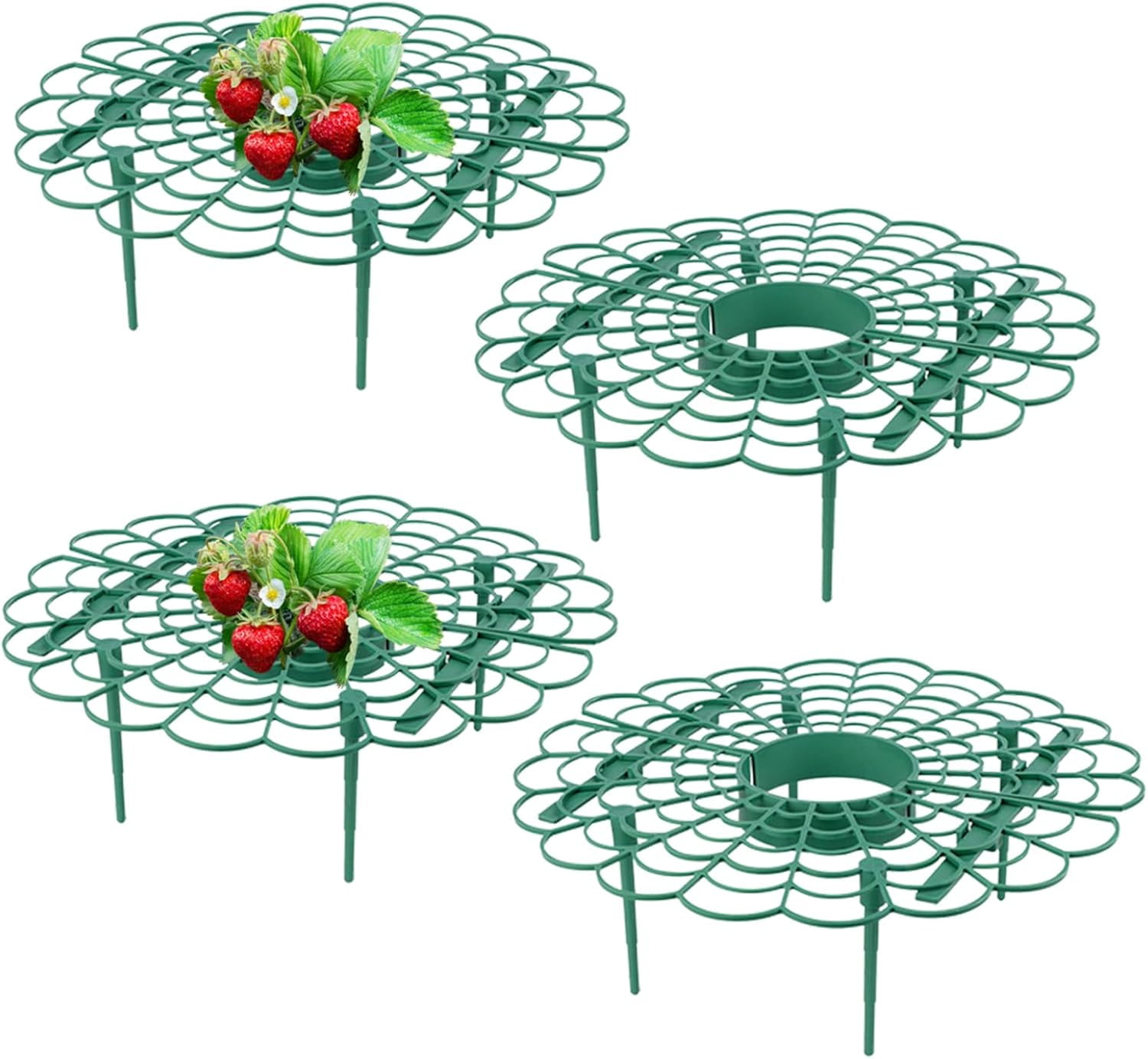 4Pcs Strawberry Plant Protectors Garden Plant Supports Cages Growing ...