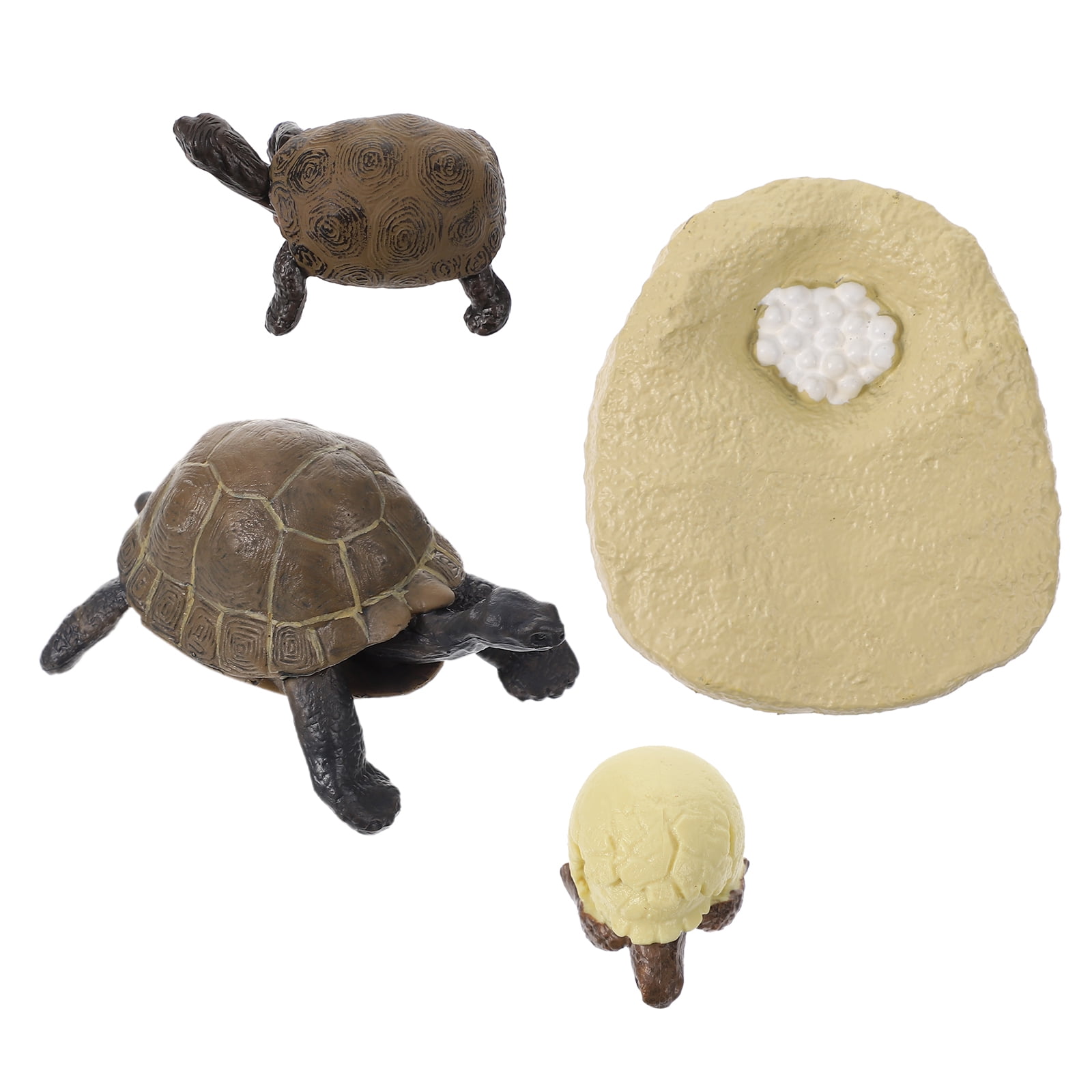 4Pcs Turtle Figurines Life Cycle Set of Turtle Realistic Creature ...