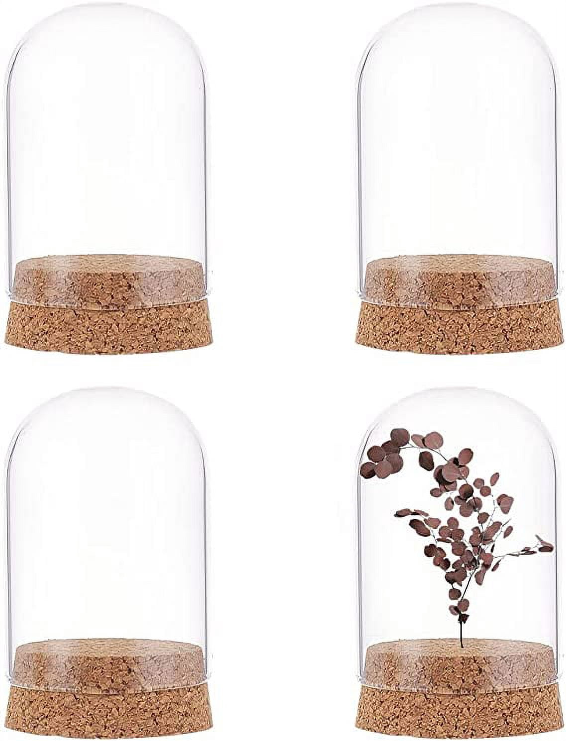 4Sets Glass Dome with Cork Base 2.75x1.96 Mini Glass Dome Eternal ...
