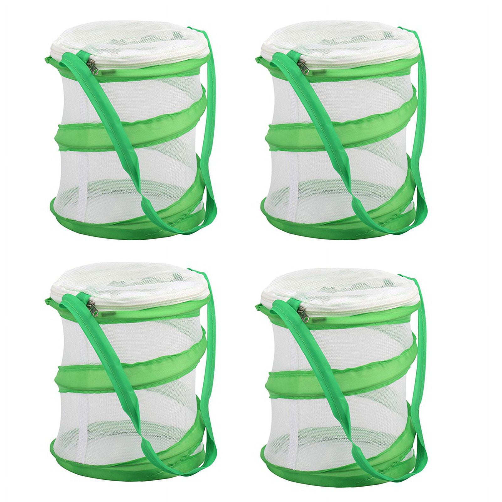 4X Small Praying Stick Insect Butterfly -Up Cage Housing Enclosure ...