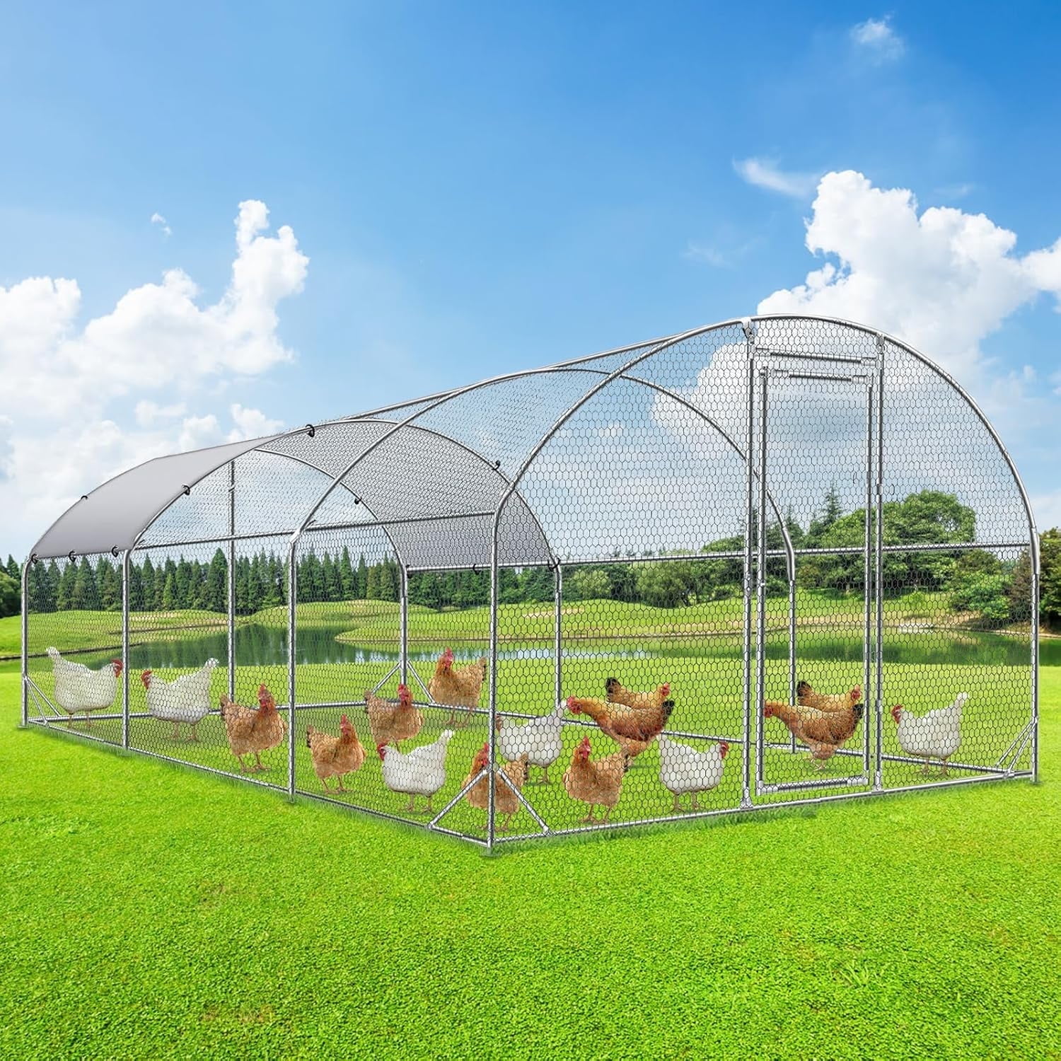 Spacious Walk-In Metal Chicken Coop & Poultry Run | 9.5'W x 19.3'L x 6.3'H Dome Roof Design ...