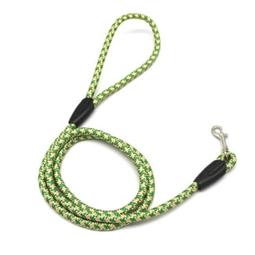Didog 4ft Durable Nylon Dog Leash for Small Medium Dogs Puppy Walking ...
