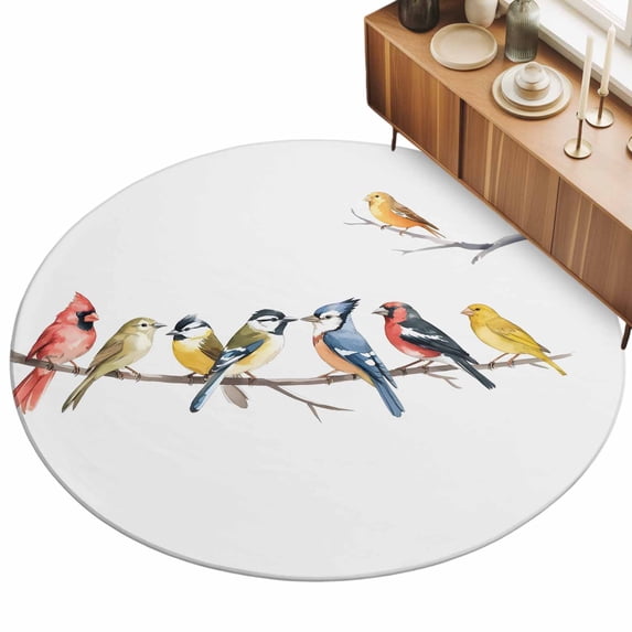 4ft Round Rug Birds Area Rugs for Living Room Bedroom Washable Non Slip ...