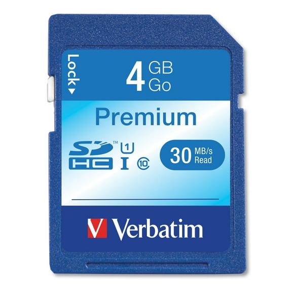 4 GB Memory Cards