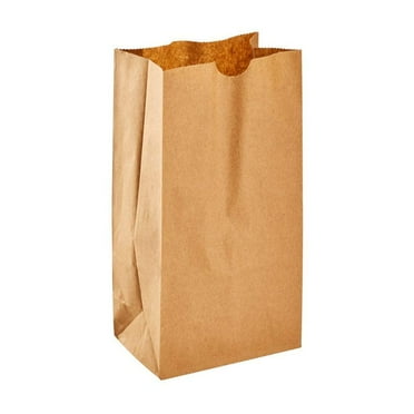 GOOHOCHY 100pcs Flat Paper Bags Kraft Brown Paper Pouches Sample Food ...