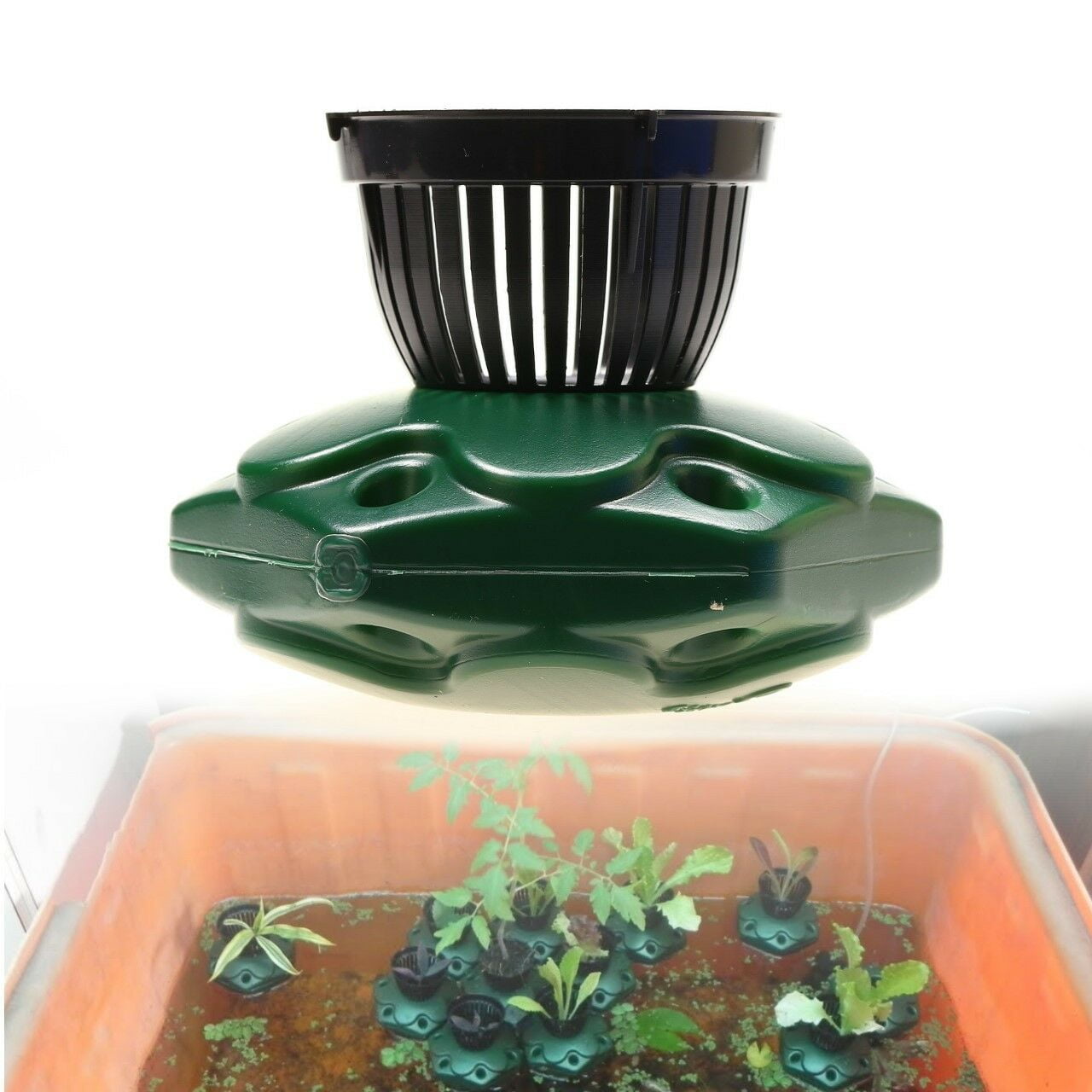 4pcs Aquaponics Floating Pond Planter Basket Kit - Hydroponic Island ...