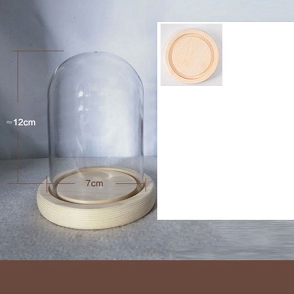 4pcs Arch Glass Dome Cover Decorative Display Case Cloche Bell Jar ...