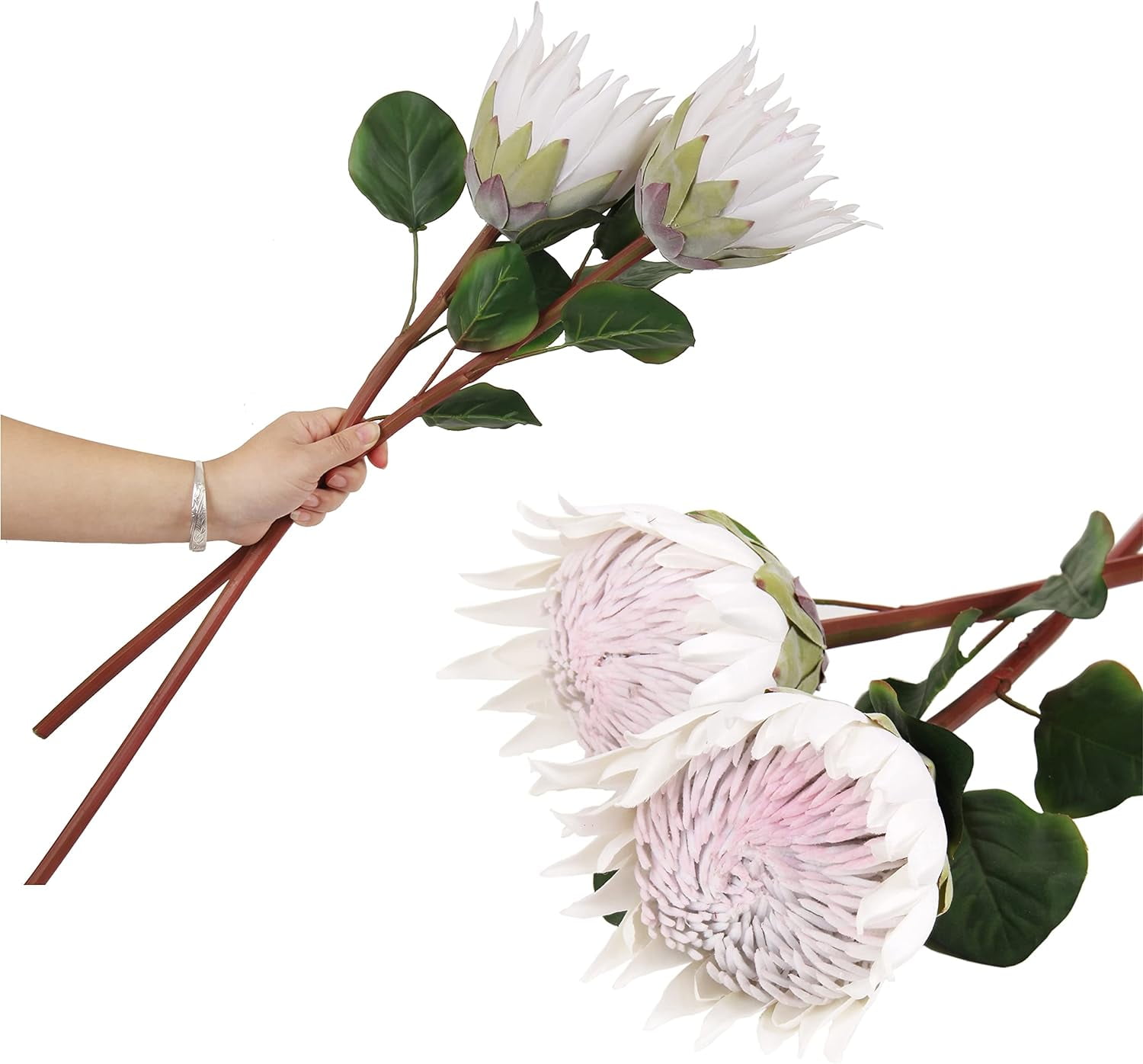 4pcs Artificial Protea Flowers,26 Inch Super Long Stem Faux Protea ...