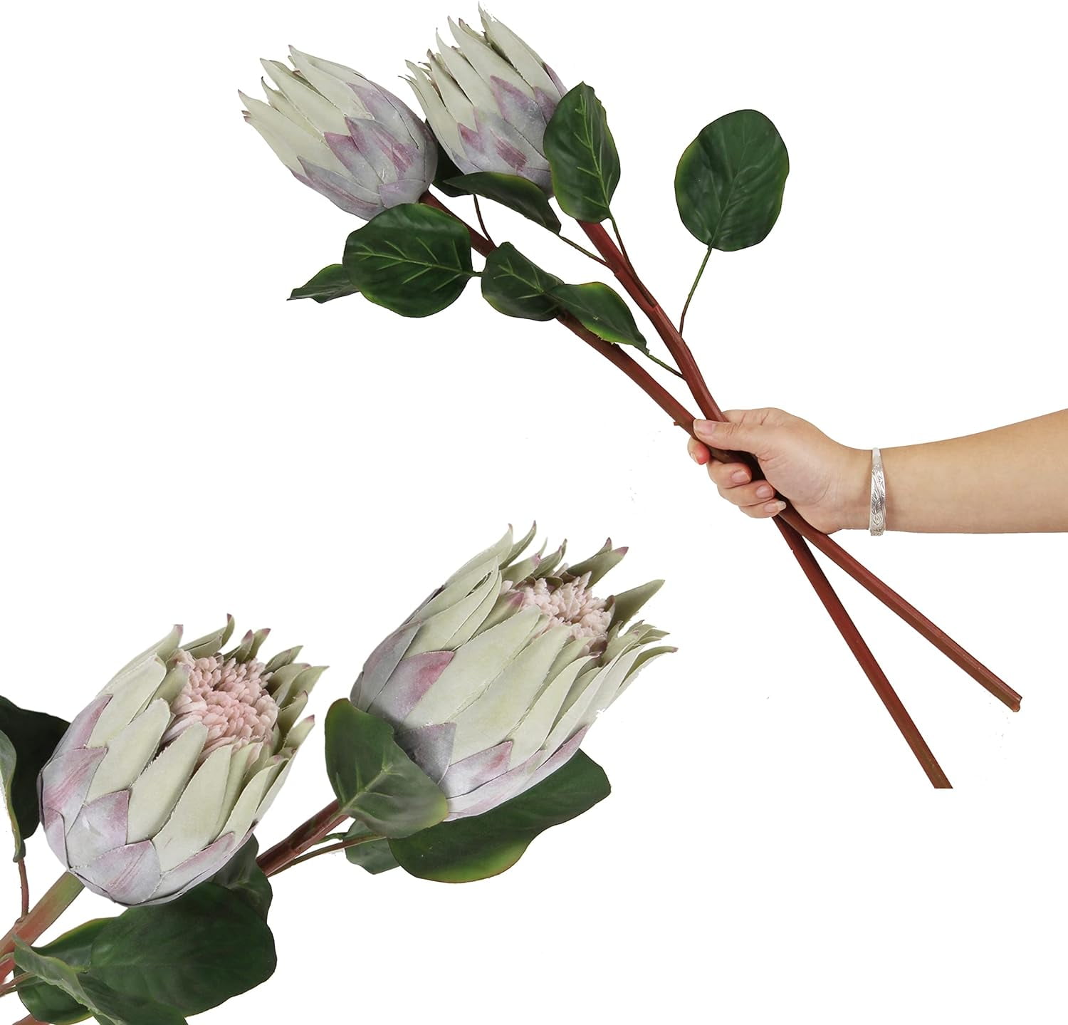 4pcs Artificial Protea Flowers,26 Inch Super Long Stem Faux Protea ...
