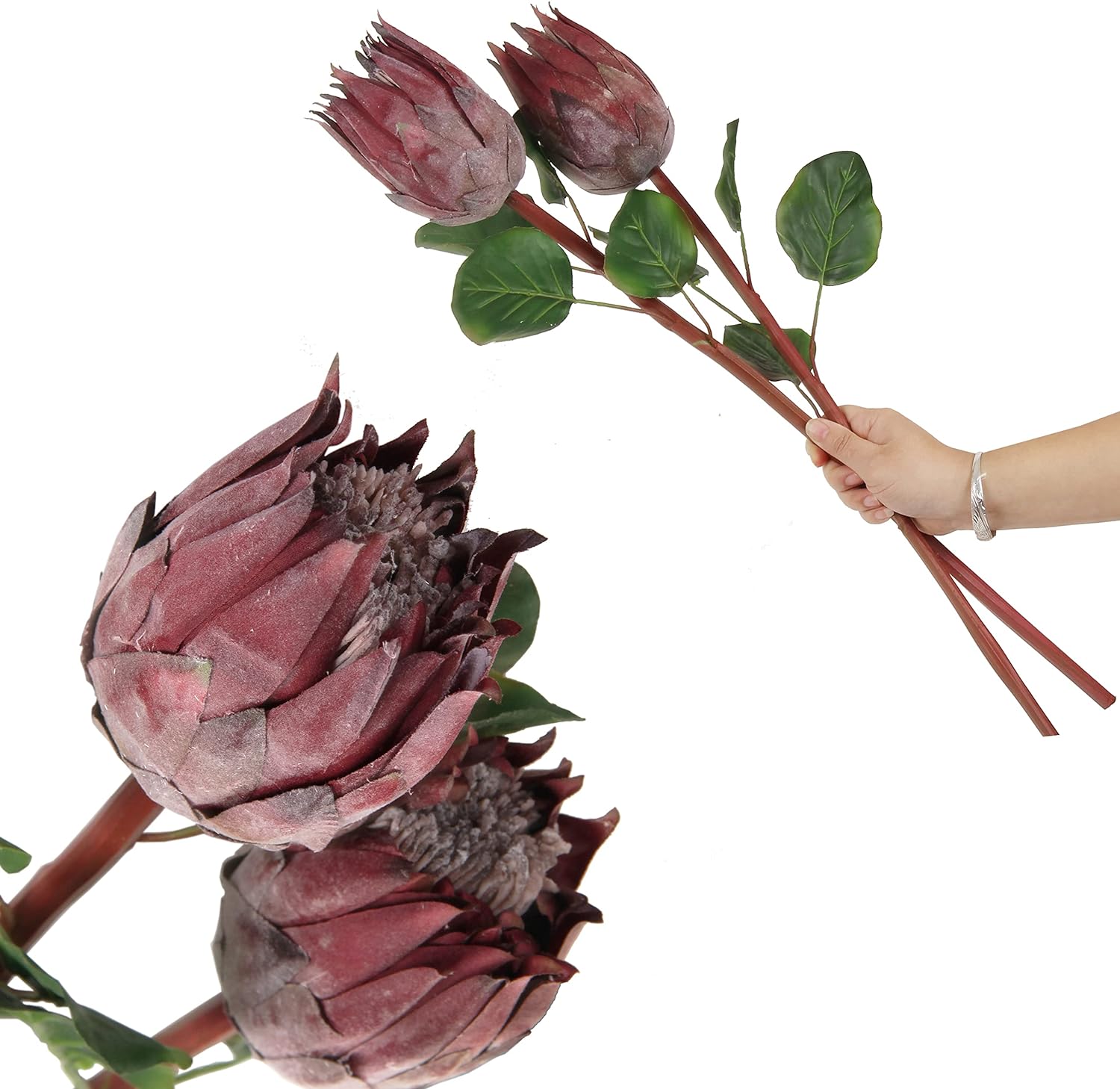 4pcs Artificial Protea Flowers,26 Inch Super Long Stem Faux Protea ...